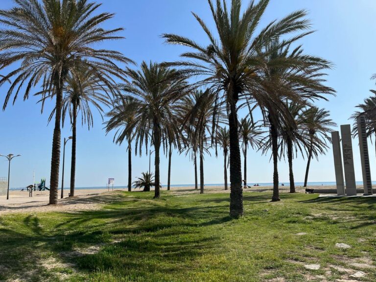 5 Best Beaches in Valencia, Spain (An Ultimate 2024 Guide)