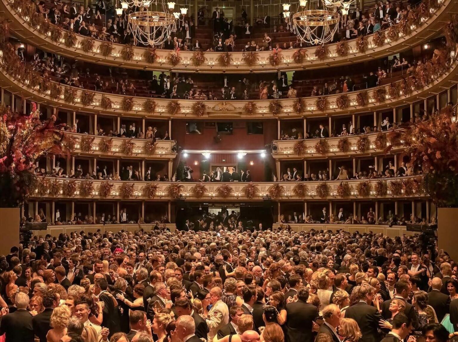 What to do in Vienna in November (Read this first!)