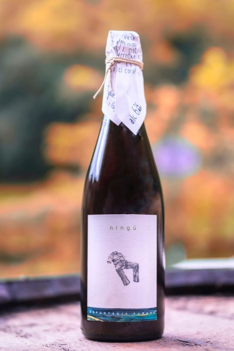 15 Best Spanish Beers & Brands You Should Try - WhyThisPlace.com