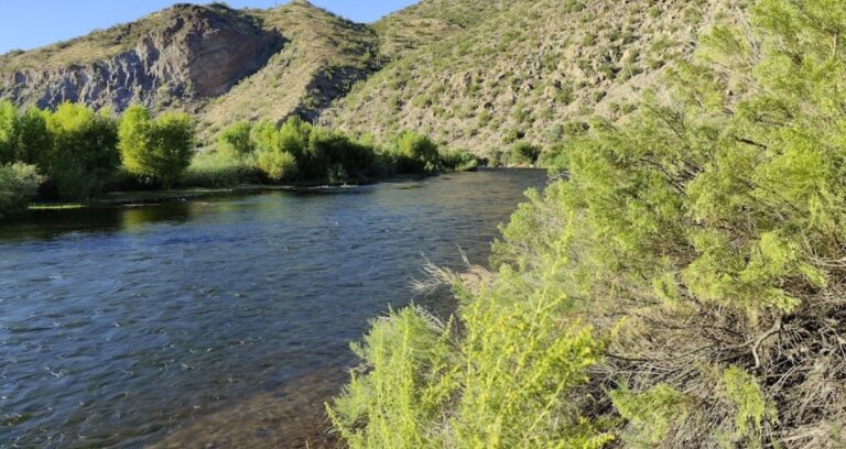 15 Arizona Beaches You Can't Miss - WhyThisPlace.com