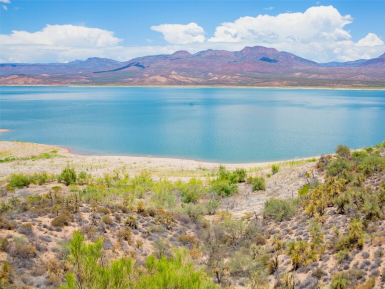 15 Arizona Beaches You Can't Miss - WhyThisPlace.com