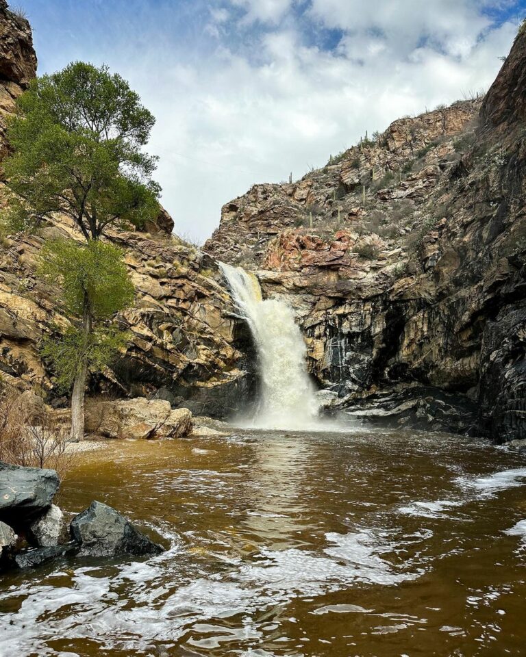 19 Best & Easy Waterfall Hikes in Arizona - WhyThisPlace.com