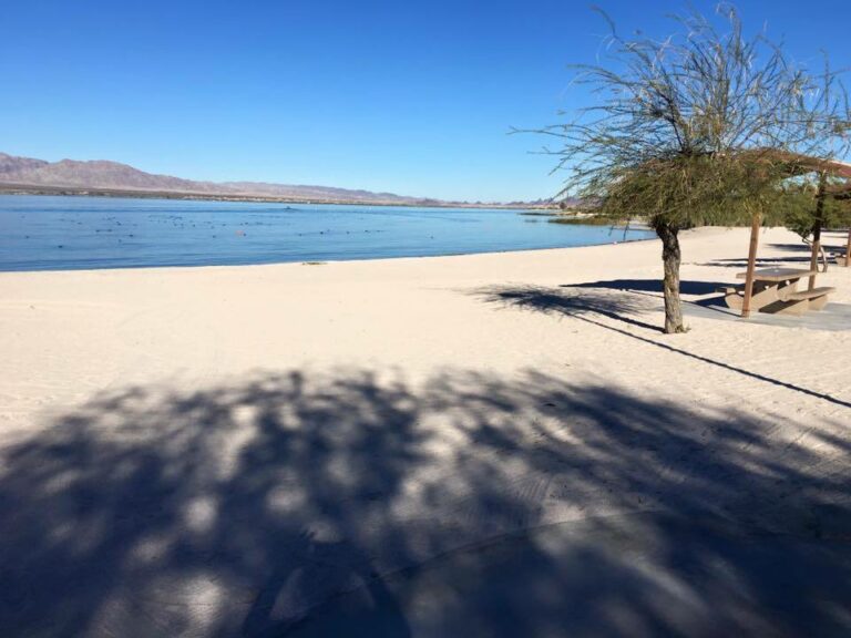 15 Arizona Beaches You Can't Miss - WhyThisPlace.com