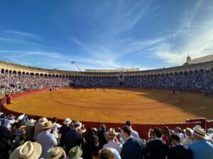 Popular Sports in Spain: Soccer, Basketball, and Tennis - WhyThisPlace.com