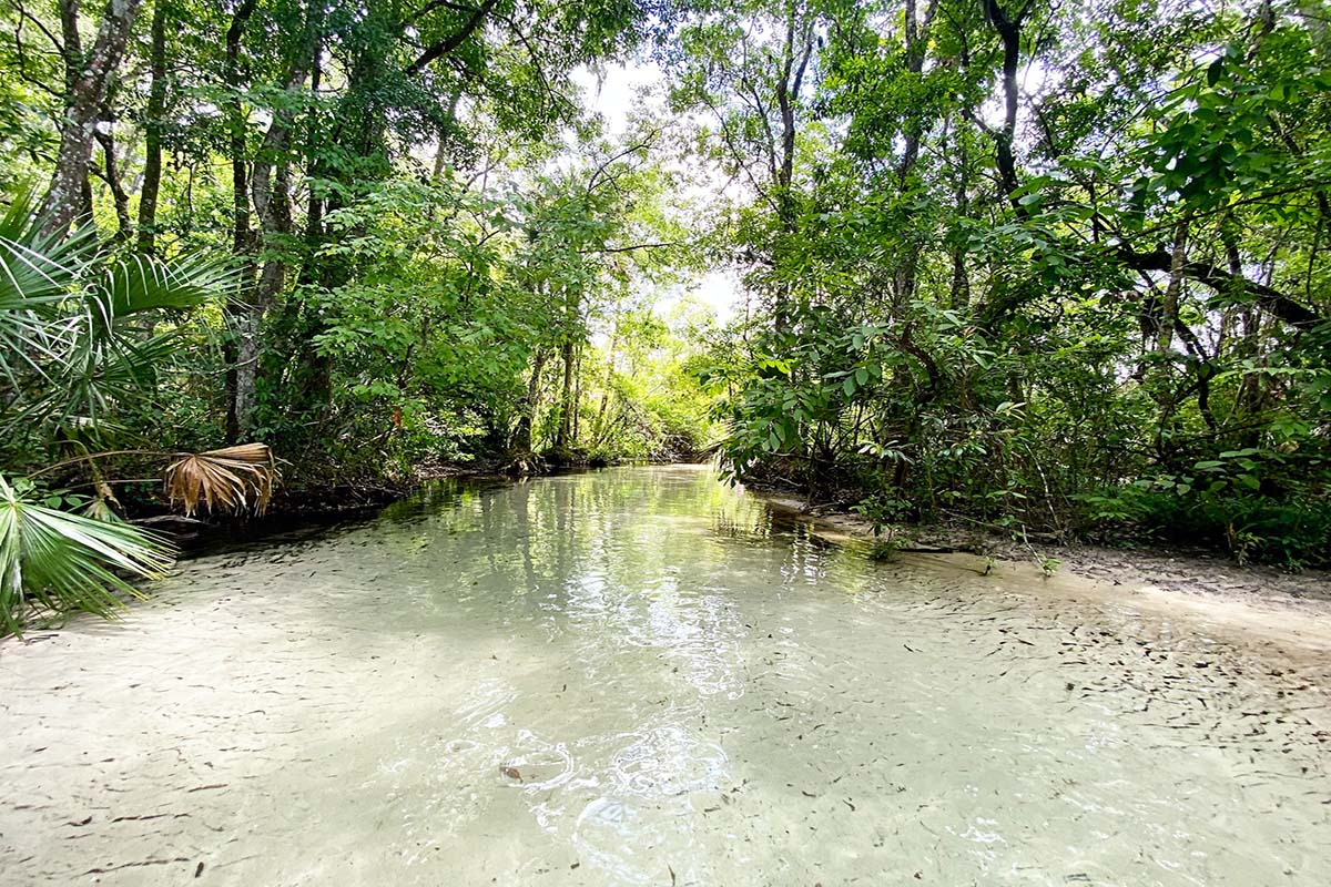 Best National Parks in Florida You Need To See in 2023: Local’s Guide ...