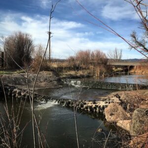 Explore the White Mountains of Arizona: My Guidebook with Map ...