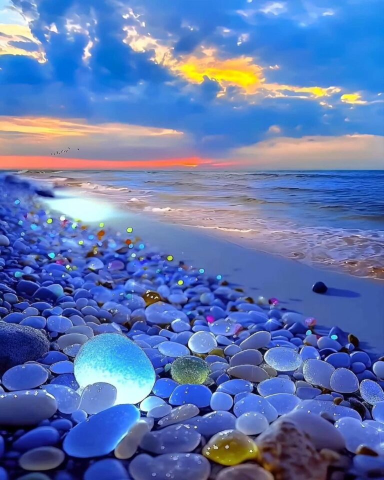 Glass Beach Guide: What to Know Before You Go - WhyThisPlace.com