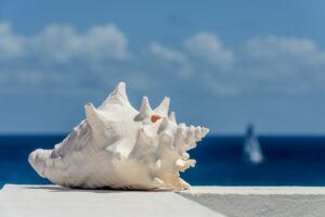 My Essential Guide to Shell Island, Panama City Beach, Florida ...