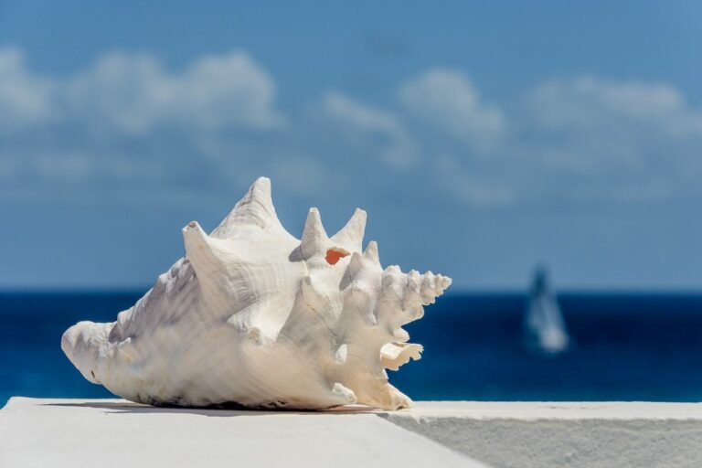 My Essential Guide to Shell Island, Panama City Beach, Florida ...