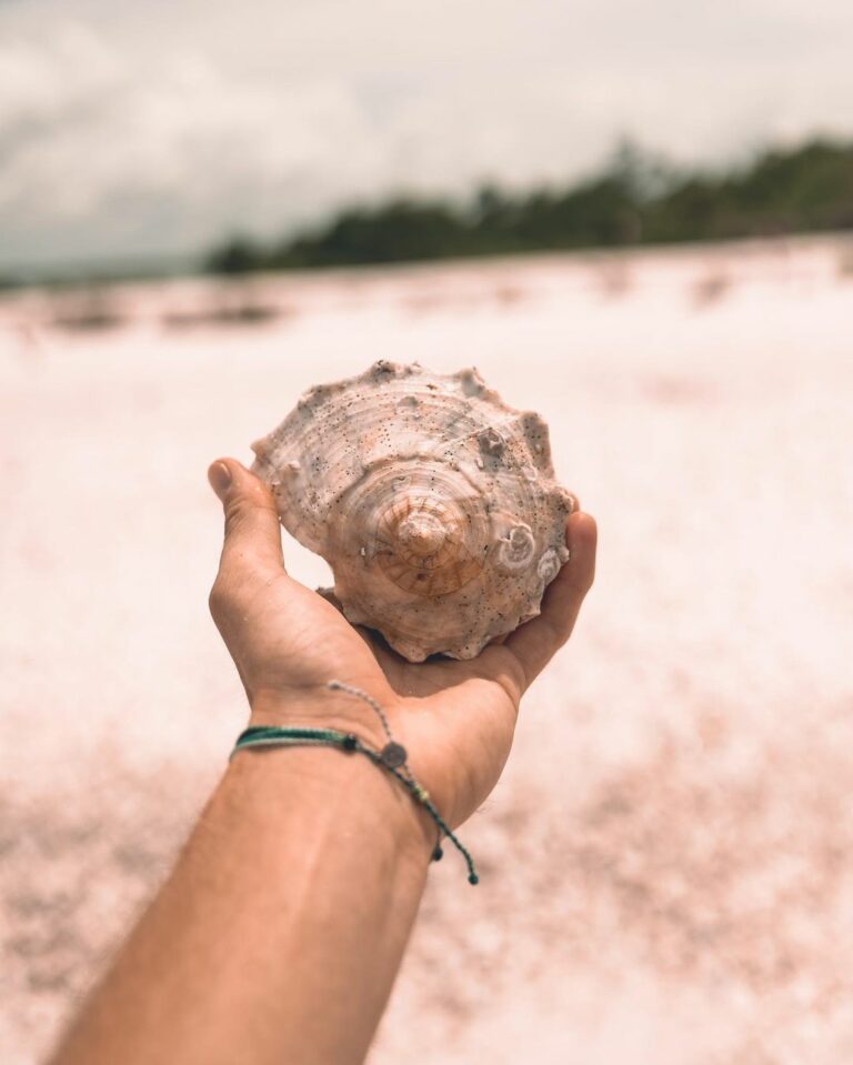 My Essential Guide to Shell Island, Panama City Beach, Florida ...