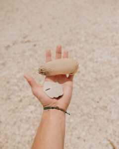 My Essential Guide to Shell Island, Panama City Beach, Florida ...