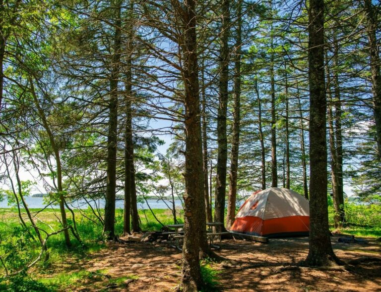 19 Best Glamping Spots in California in 2023: Glamping Guide - Why this ...