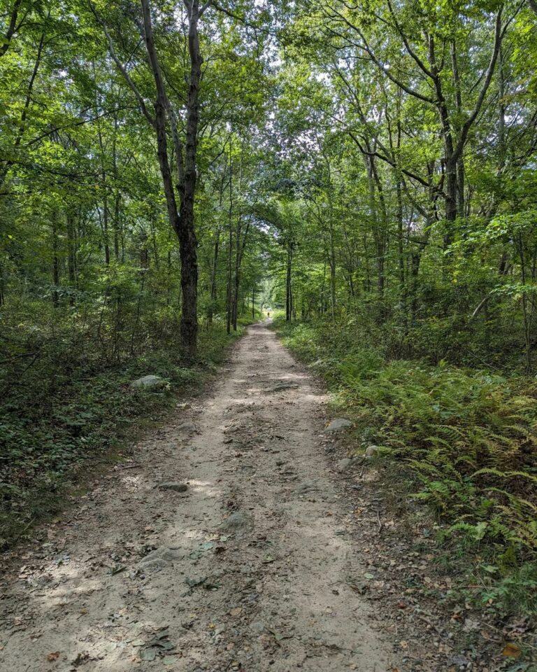 27 Must-Do Connecticut Hikes with Waterfalls - WhyThisPlace.com