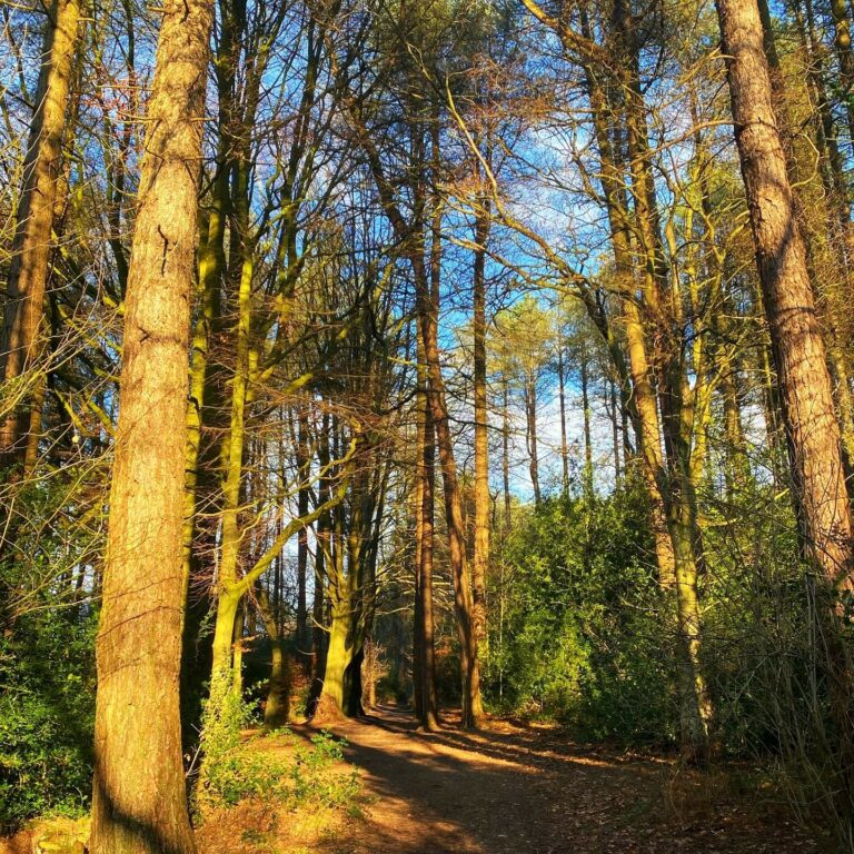 27 Must-Do Connecticut Hikes with Waterfalls - WhyThisPlace.com