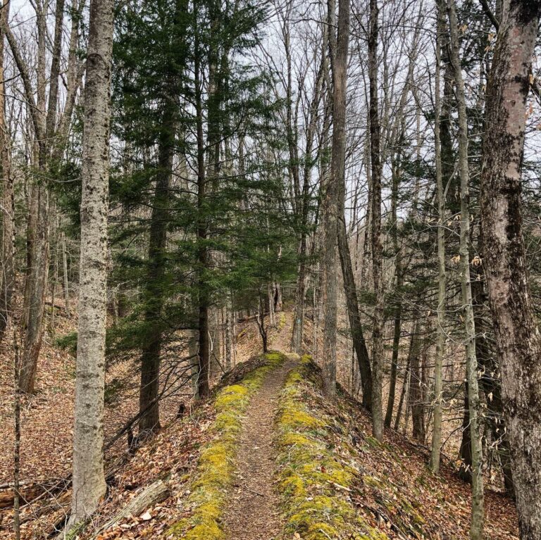 27 Must-Do Connecticut Hikes with Waterfalls - WhyThisPlace.com